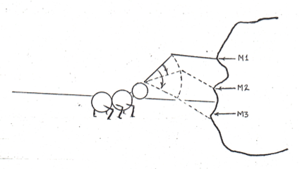 III. The Physiological Basis of Perception | bioperipatetic